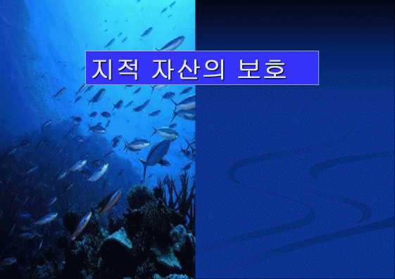 지적재산권 전반적 설명