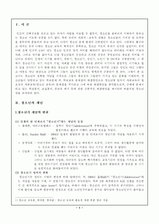 청소년 교육 레포트 자료