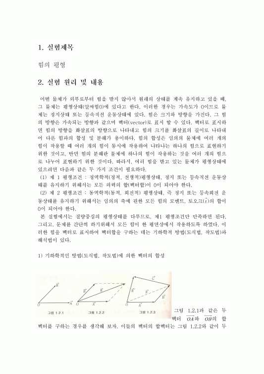 [분석/조사] 힘의 평형 [자연과학]