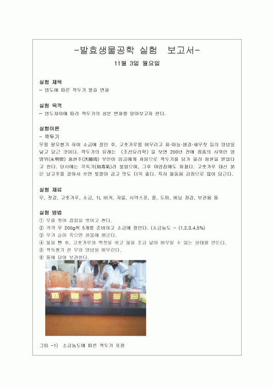염도에 따른 깍두기변화