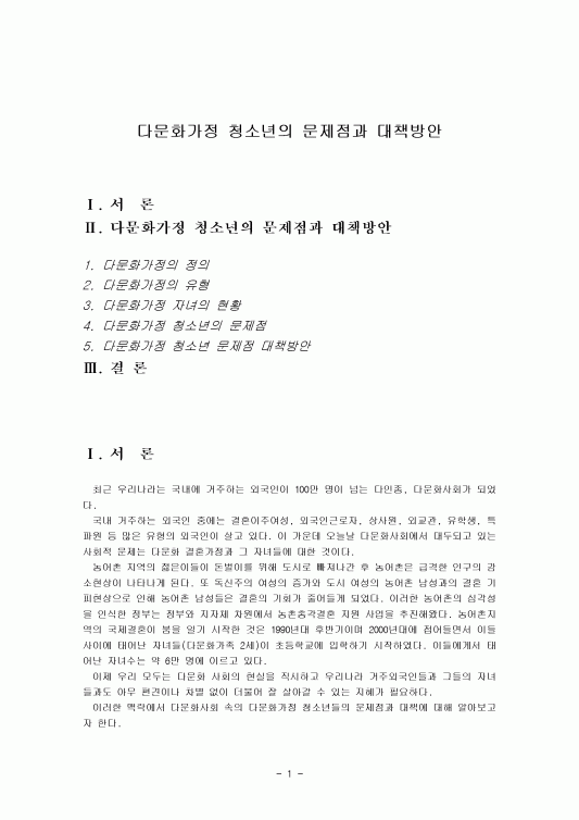 다문화가정 청소년의 문제점과 대책방안