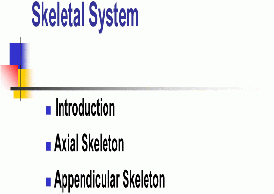 Skeletal System 골격계 파워포인트 발표자료