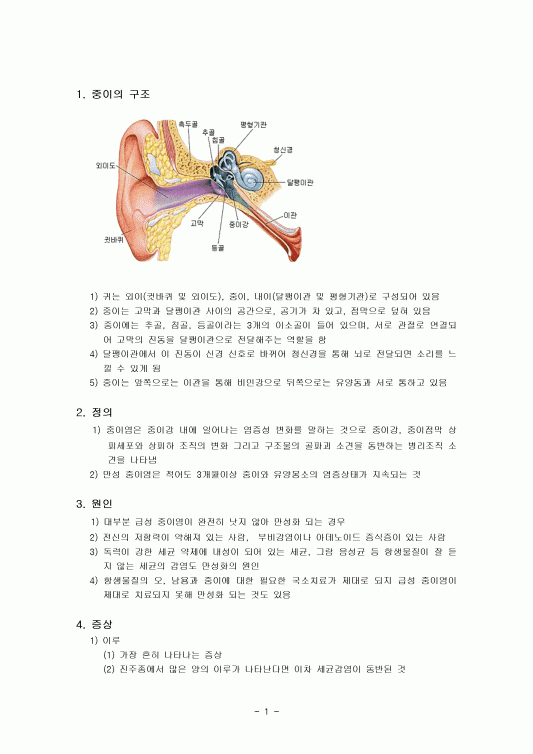 만성중이염 레포트 자료
