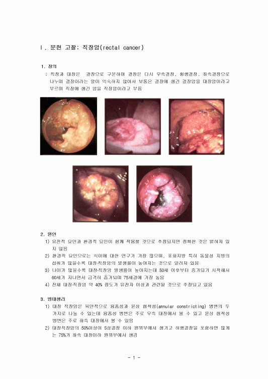 직장암(rectal cancer) 문헌고찰