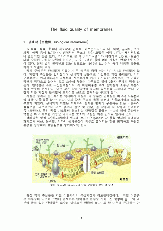 생체막의 정의 및 기능