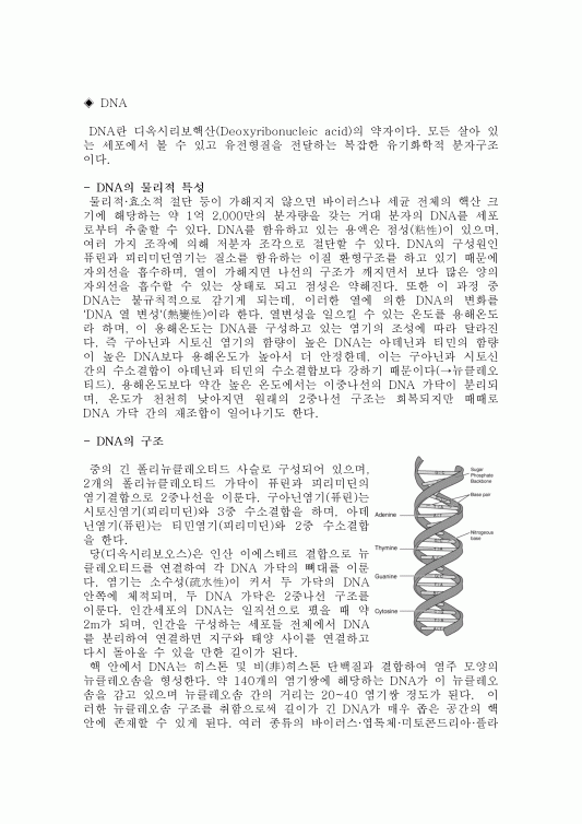 DNA와 방사선 레포트 자료