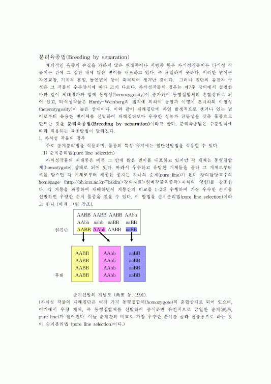 분리육종법 레포트 자료