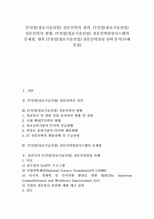 [IT산업][전문인력]IT산업(정보기술산업) 전문인력의 정의,전문인력의 현황, 전문인력양성시스템의 문제점, 향후 IT산업(정보기술산업) 전문인력양성 전략(사례 중심)