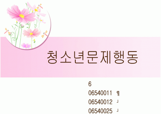 [사회과학] 청소년 문제행동