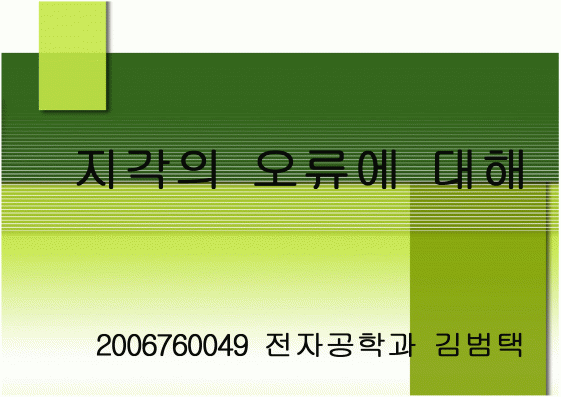 지각의오류 레포트 자료