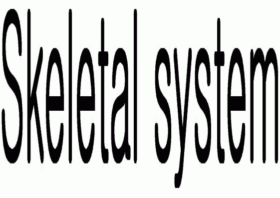 Skeletal system 레포트 자료