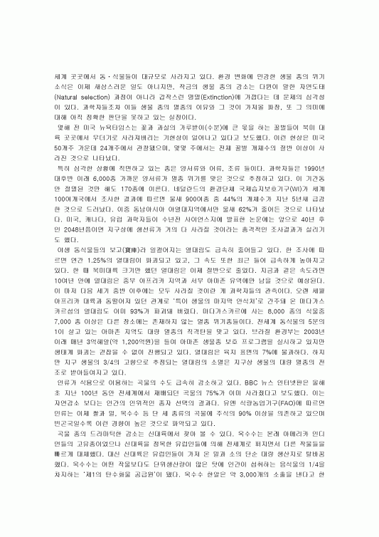 우리나라의 현 생태미술의 현황