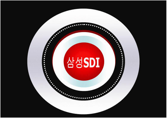 삼성의 헝가리 진출