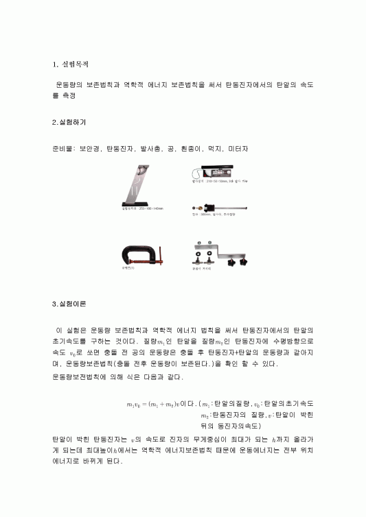 탄동진자 결과,예비 리포트