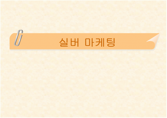 실버마케팅 파워포인트