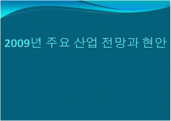 2009년 주요 산업 전망과 현안