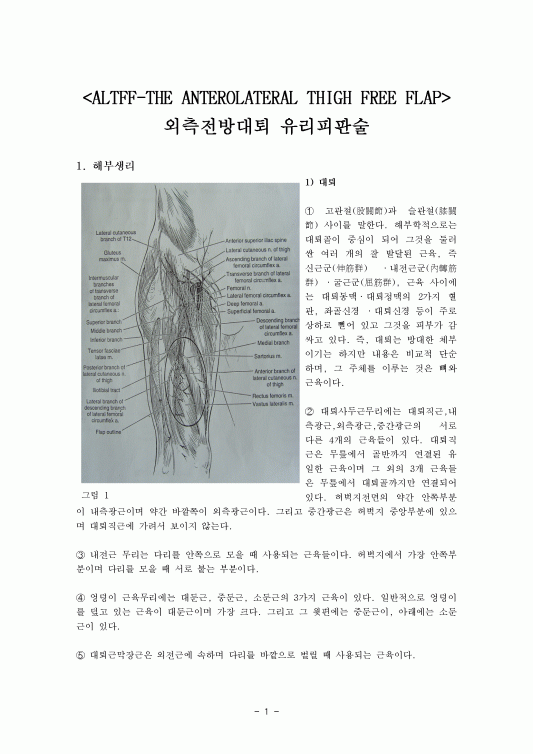 <ALTFF-THE ANTEROLATERAL THIGH FREE FLAP> 외측전방대퇴 유리피판술