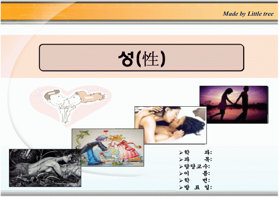 성(性)에 대한 정리자료