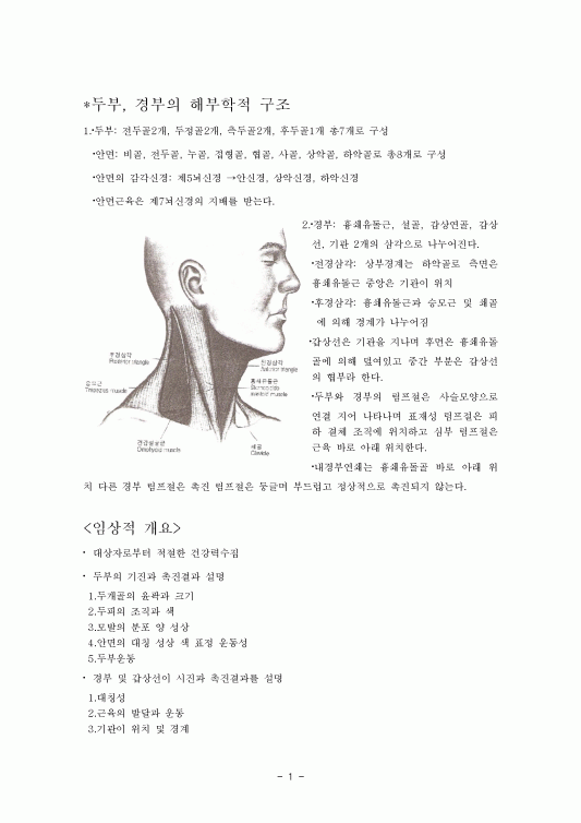 건강사정 두경부 사정 정리