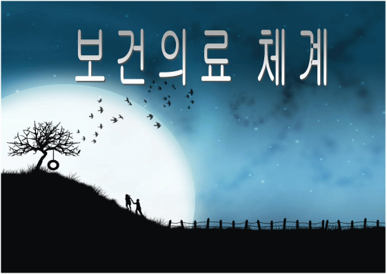보건의료 체계