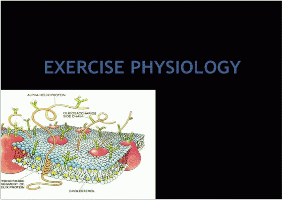 Exercise for Older Persons 운동생리학