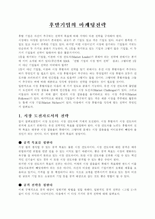 후발 기업의 마케팅 전략