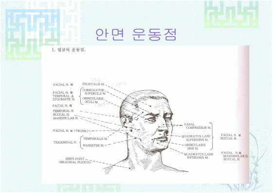 발목과 발 레포트 자료