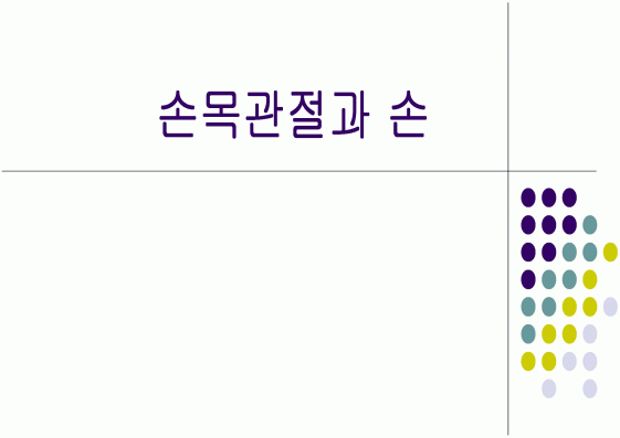손목관절과 손