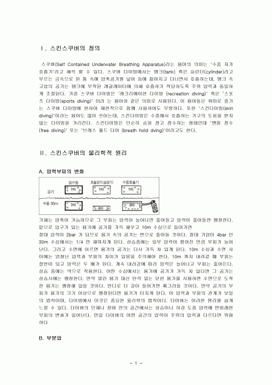 스킨스쿠버 레포트 자료