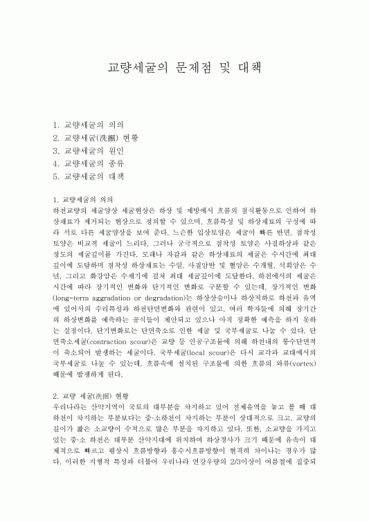 교량세굴의 문제점 및 대책