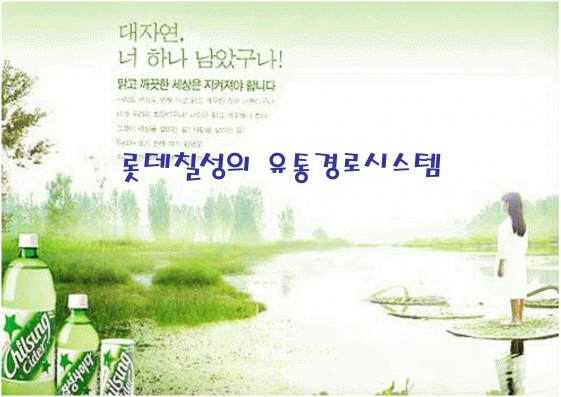 [유통관리론]국내 음료시장 현황 및 롯데칠성 유통전략 분석