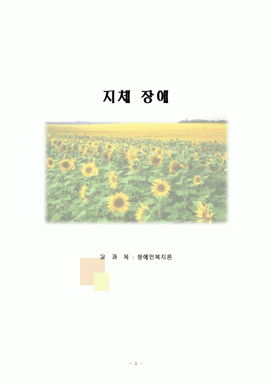 [사회복지] 지체장애인 복지의 현황과 해결방안