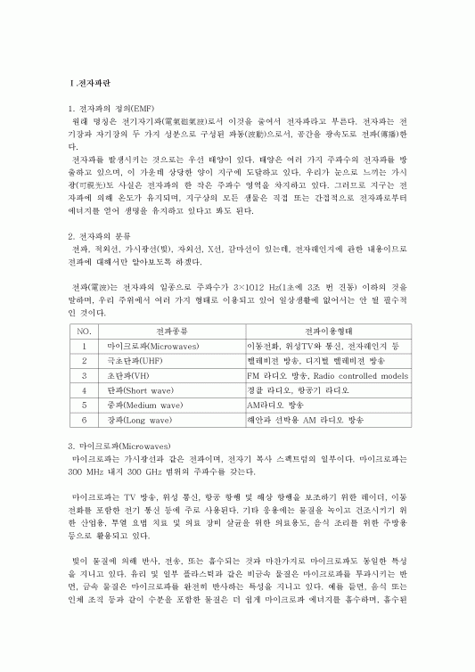 전자레인지의 전자파 특성
