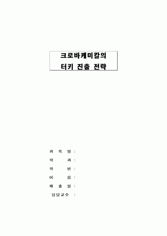 크로바케미칼(중소기업)의 터키 진출 전략