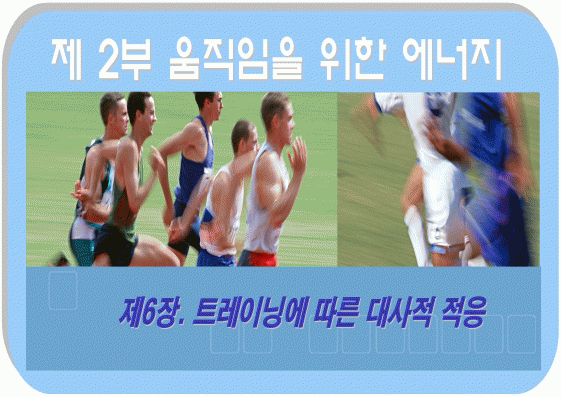 트레이닝에따른 대사적적응