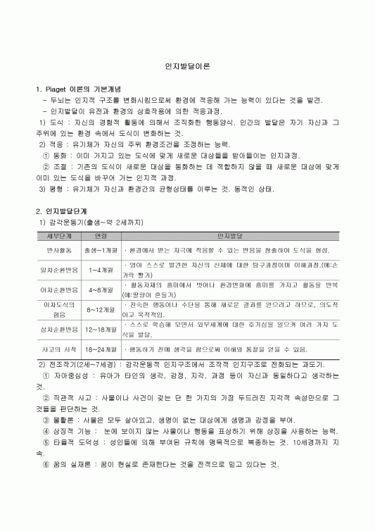 인지발달이론 요약본