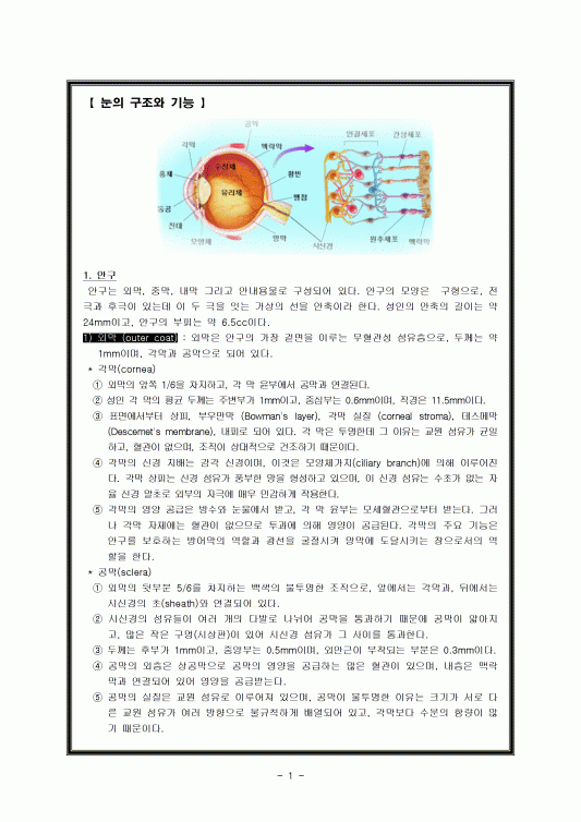 성인간호학레포트-이비인후과계 구조 기능