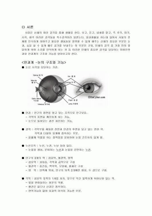 이비인후,안과계 구조와 기능