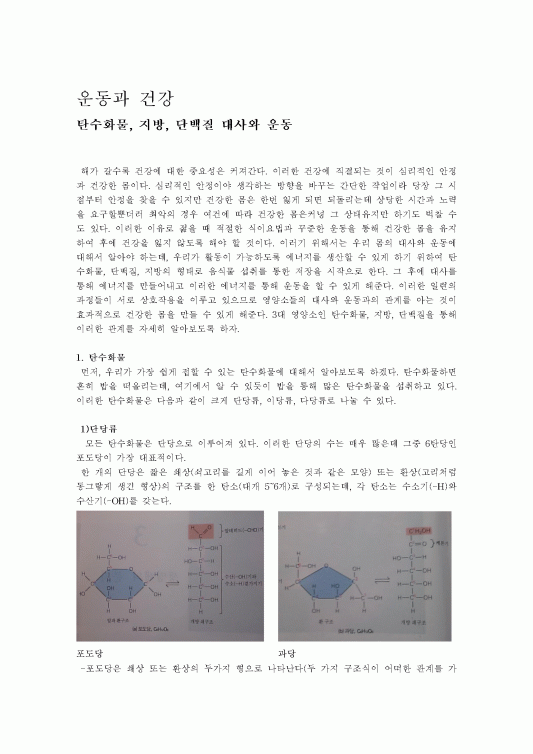 [운동과 건강] 탄수화물, 지방, 단백질 대사와 운동
