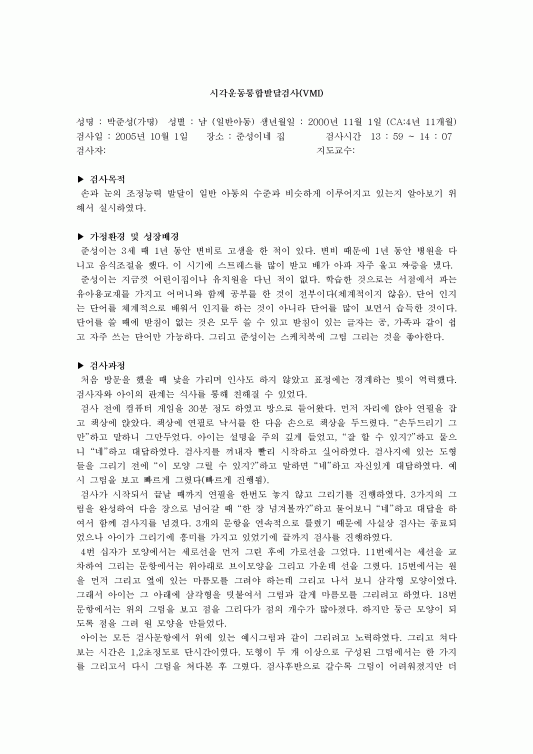 시각운동통합발달 검사(VMI) 사례 보고서