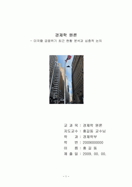 미국 금융위기의 최근 현황 논의와 분석 해결책 구제방안