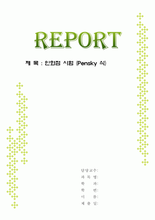 인화점 실험 보고서