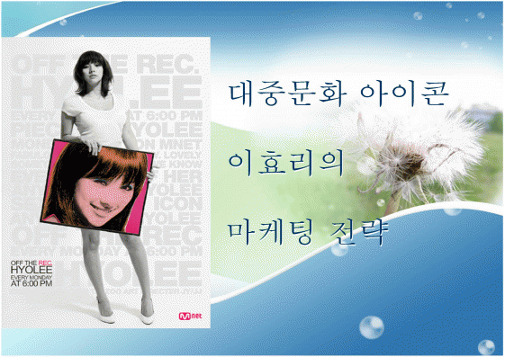 대중문화 아이콘 이효리의 마케팅 전략