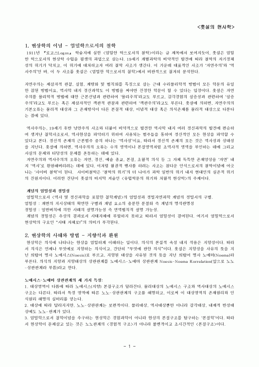 훗설의 현상학