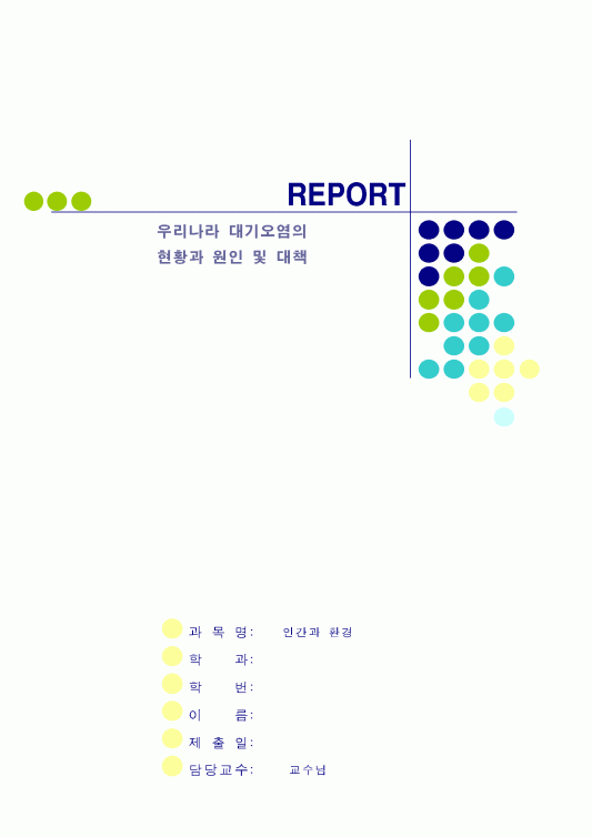 대기오염의 현황과 원인 및 대책