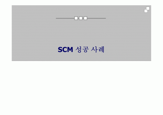 SCM성공사례 레포트 자료