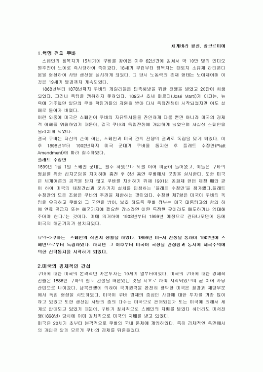 체게바라 평전