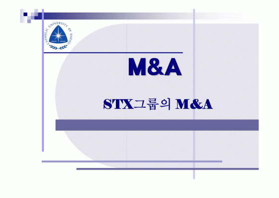 STX그룹의 M&A 레포트 자료