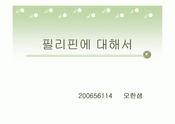 필리핀ppt 레포트 자료