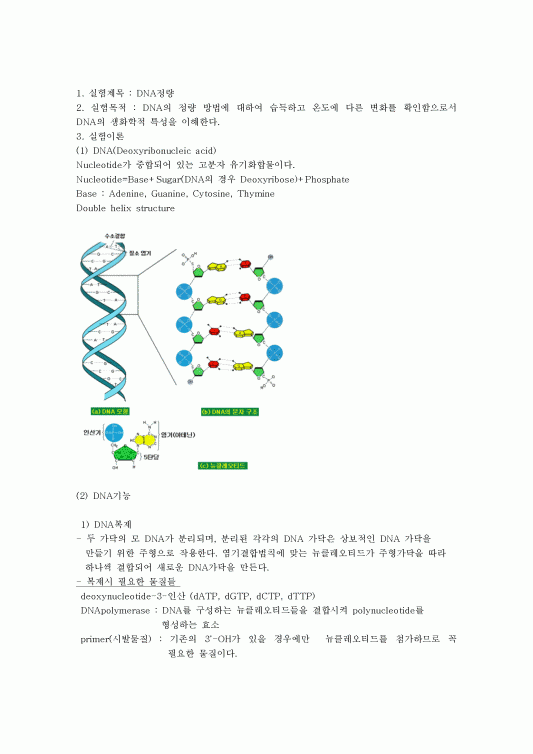생화학실험 DNA 정량 온도에 따른 변화